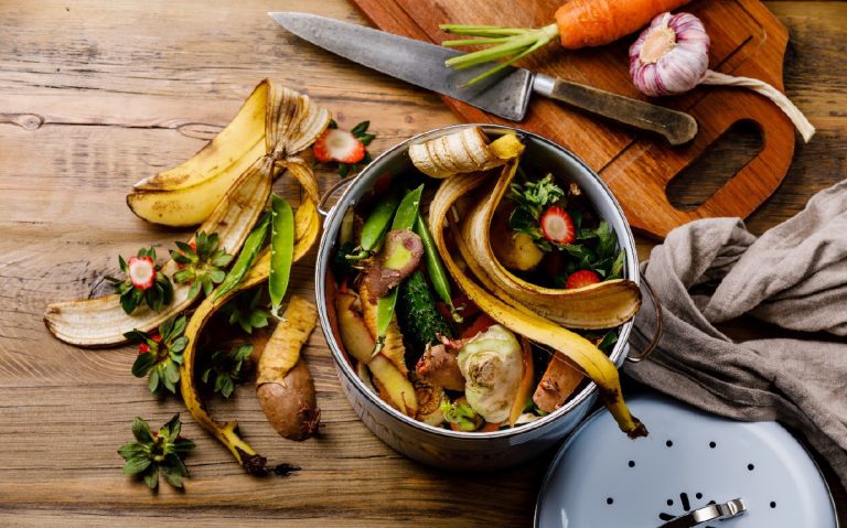 What is a FOGO Bin? - Recycle Right